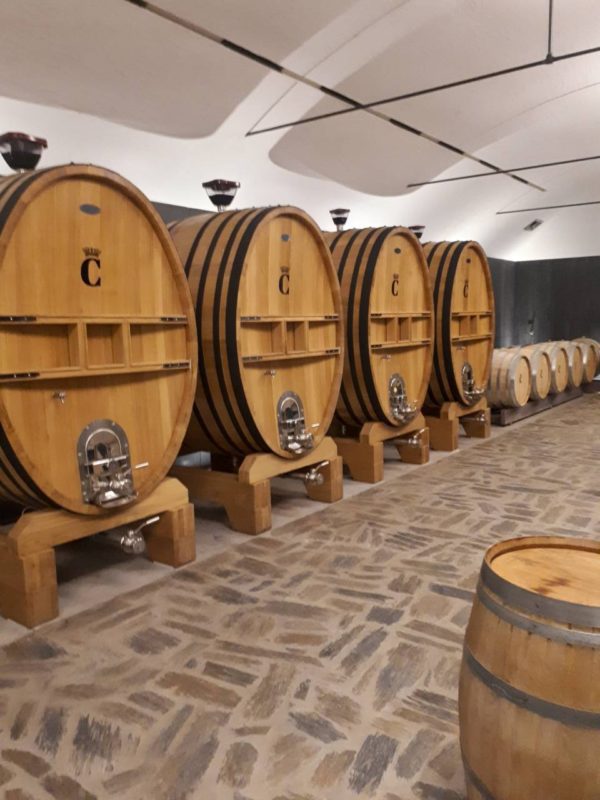 The Ultimate Travel Guide to the Douro Valley, Portugal 🍷