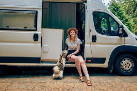 10 Essential Tips for Enjoying Van Life with Your Cat 🚌 🐈
