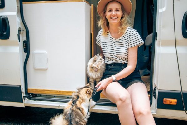 Van Life with a Cat: 10 Tips to Ensure Your Cat's Comfort 🐈