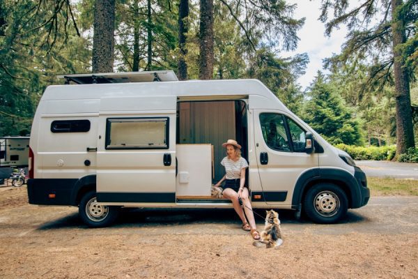 10 Essential Tips for Enjoying Van Life with Your Cat 🚌 🐈