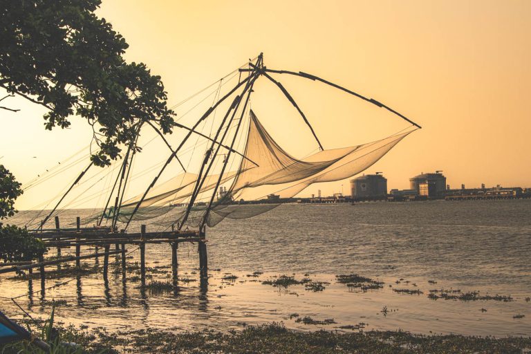 A Perfect One Day in Kochi Itinerary for First Time Visitors