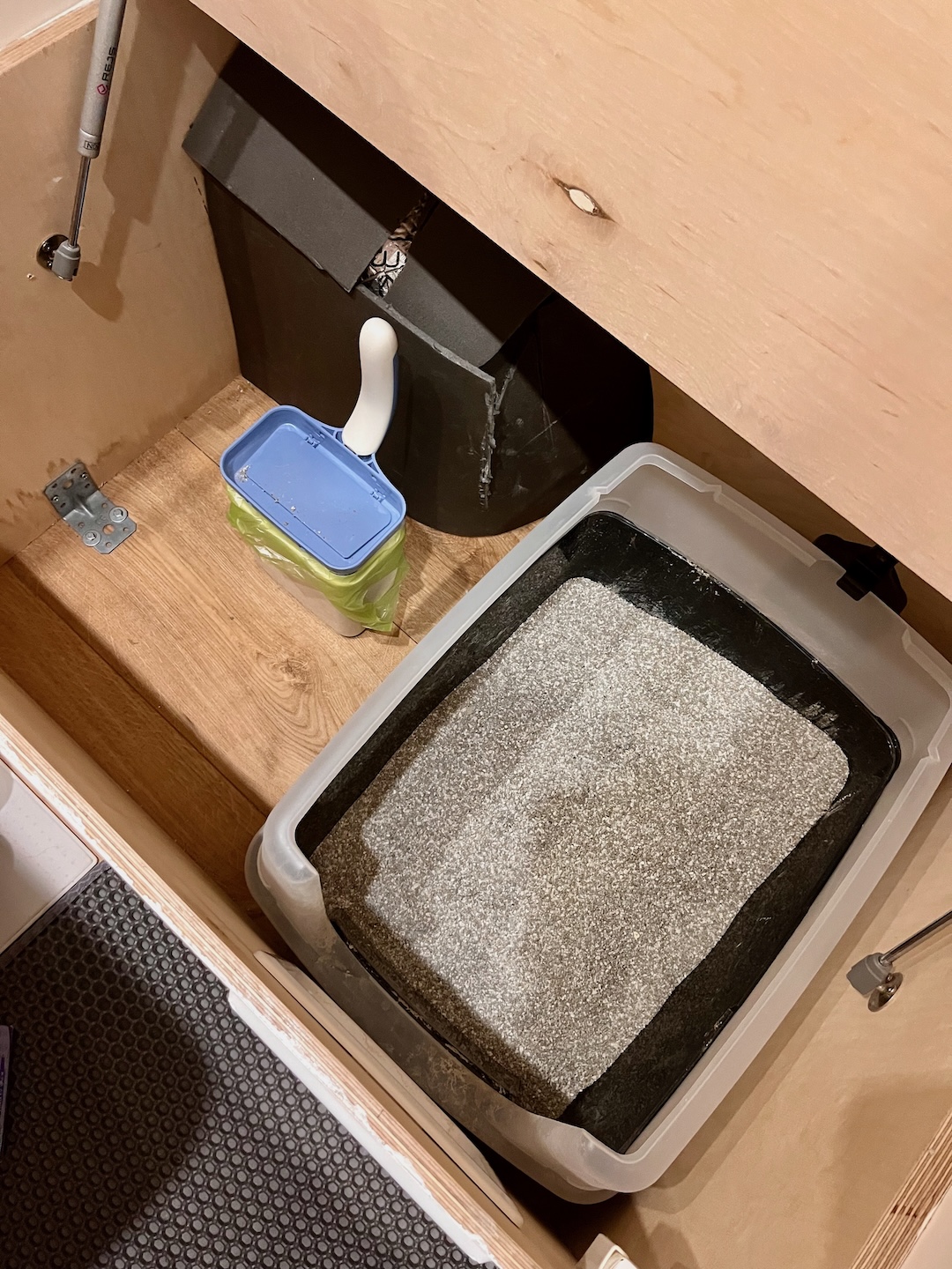 10 Essential Tips for Enjoying Van Life with Your Cat 🚌 🐈