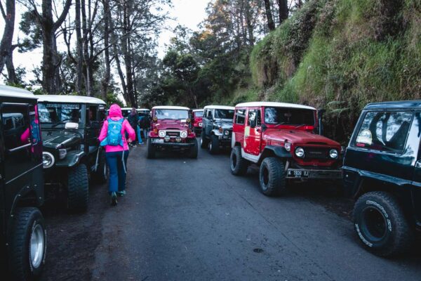 Why Mount Bromo, Indonesia Should Be on Your Bucket List 🌋