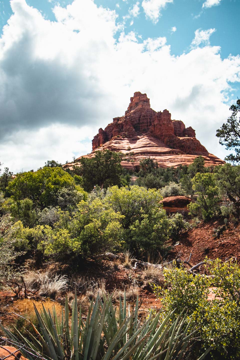 14 Beautiful Sedona Hikes to Fall in Love With (+ Tips)