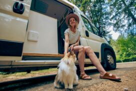 10 Essential Tips for Enjoying Van Life with Your Cat 🚌 🐈