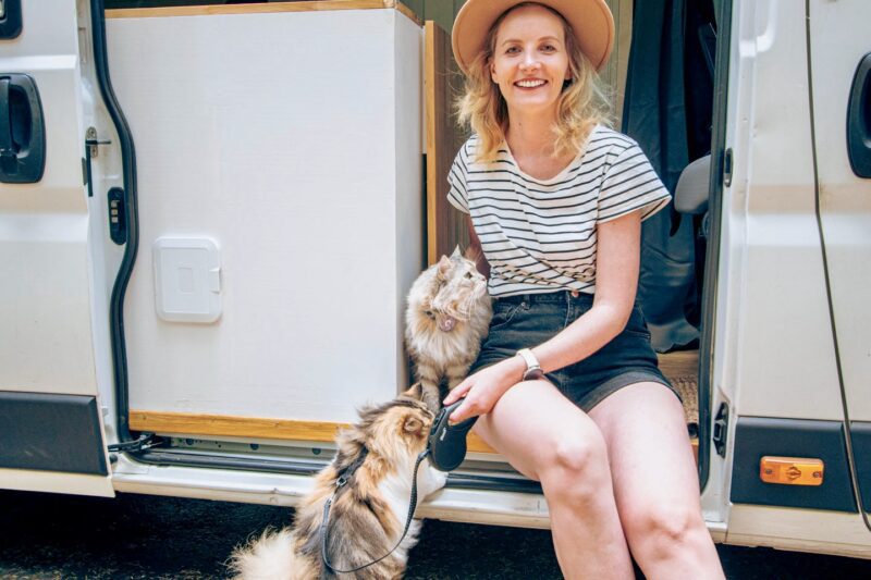 10 Essential Tips for Enjoying Van Life with Your Cat 🚌 🐈